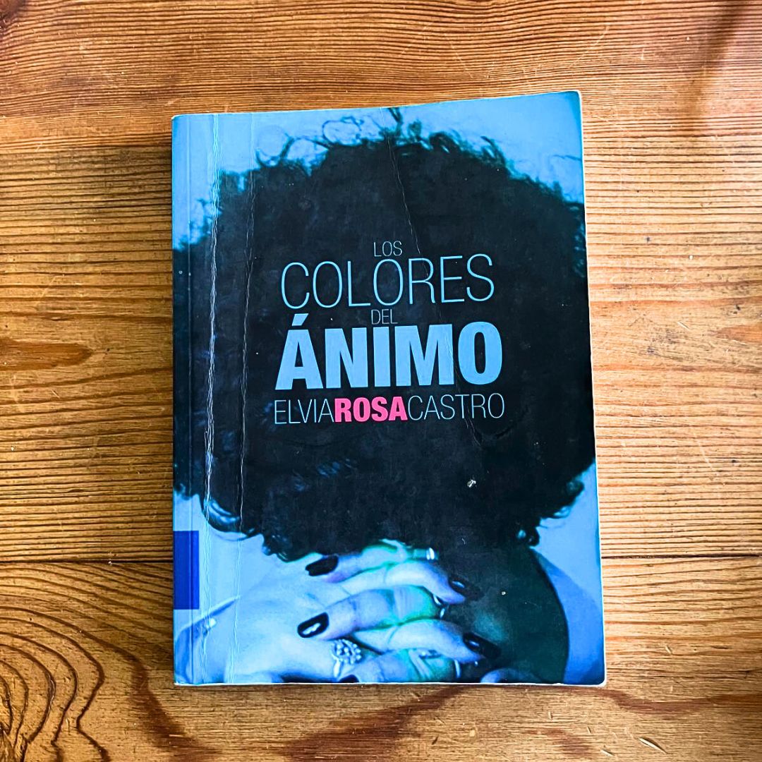 Entrevista | Elvia Rosa Castro: "El crítico debe ser una esponja en ...