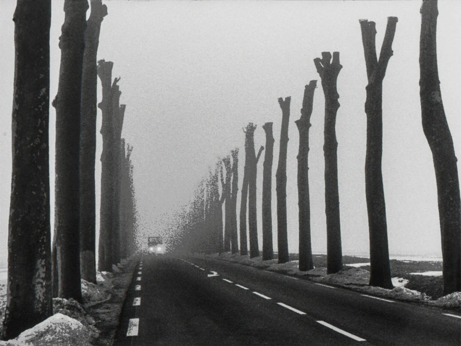 Martine Franck: el sigilo de un lobo con guantes de terciopelo