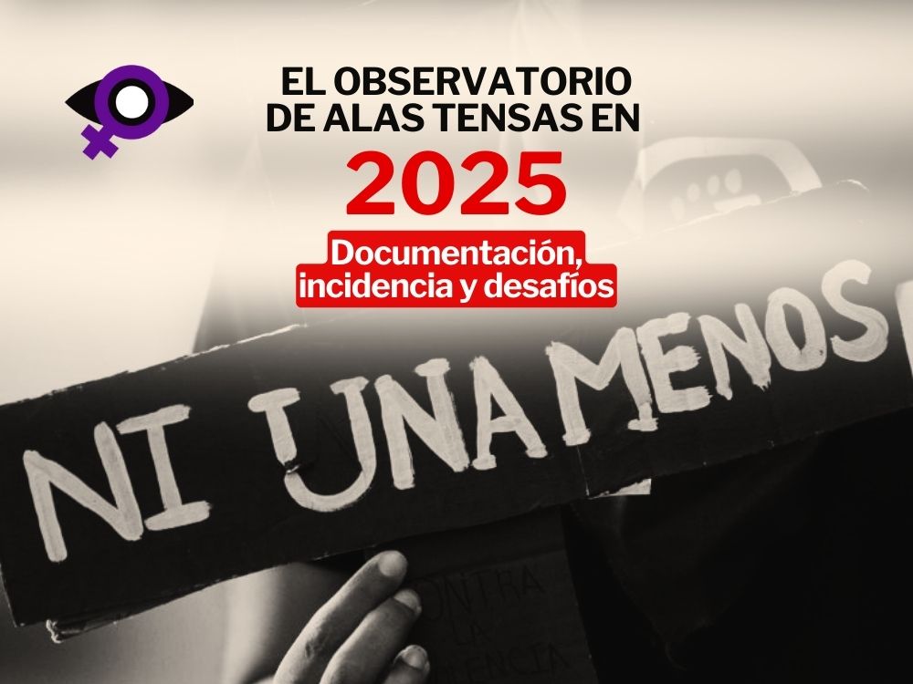 El Observatorio de Alas Tensas en 2025: Incidencia y desafíos